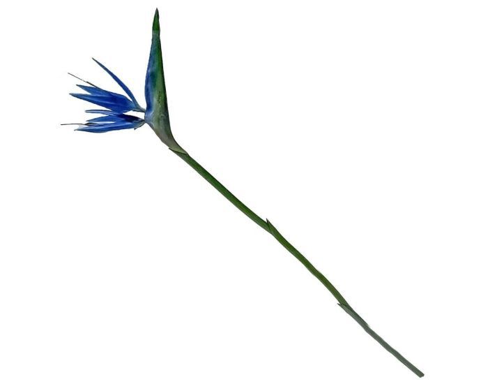Bird of Paradise Kunsttak Blauw 74 cm | Strelitzia Kunstbloem – Krokomingo
